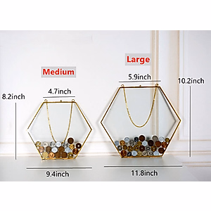 Ebrima Gold Glass Frame for Coin Display, Wall Hanging Coin Collecting Holders, Currency Dollar Bill Collection Supplies Holders for Collectors, Glass Piggy Bank (Medium)