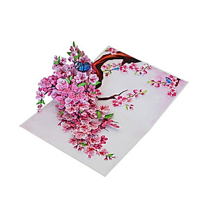 PQ Bees Pop Up Mothers Day Card for Women Mom Grandma Wife, 3D Birthday Anniversary Get Well Soon Thank You Valentines Day Card (Size 6x8 In – Butterflies Cherry Blossom).