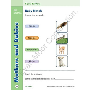 Evan-Moor Skill Sharpeners Science Workbook, Grade 1, Physical, Life, and Earth Science, Songs, Activities, Space, Animals and Eggs, Plants, Habitats, Recycling, Weather, Technology, Homeschool