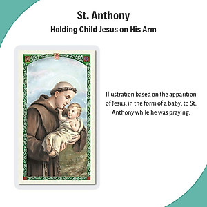 Prayer to Saint Anthony Holy Card (HC9-030E) - Laminated