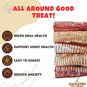 Amazing Dog Treats - 6 Inch Beef Trachea Dog Chews (10 pcs - 16.5 oz) - Trachea Dog Treats - NO Hide - Digestible and Safe Chews for Dogs - Glucosamine and Chondroitin for Joint Health