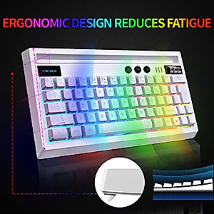 CTBTBESE 60% Wireless Gaming Keyboard, RGB Backlit Compact Mini Keyboard, Rechargeable Retro Typewriter Keyboard with Phone Stand, Free Type-C Adapter for PC, Tablet, Notebook, Smartphone(White)…