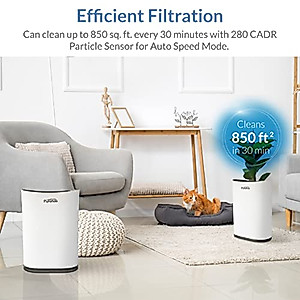 Purafide XP280 | Veteran Owned | 2-Yr Filter Life | H13 HEPA Air Purifier | Elegant Old Fashion Controls | 1700 Sq Ft Coverage. Home, Bedroom, Pets, Dust - White, 2-Pack