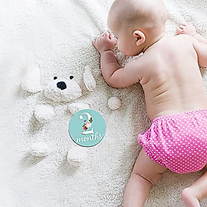 Baby Milestone Cards,Milestone Wooden Circles,Baby Months Signs,Monthly Milestone Wood Discs,Double Sided Printing,Set of 13