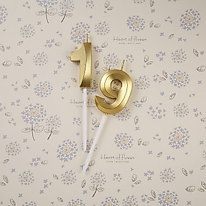 Gold 19th & 91st Birthday Candles,Gold Number 19 91 Cake Topper for Birthday Decorations Party Decoration