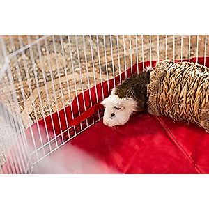 Prevue Hendryx 1098 Nature's Hideaway Grass Tunnel Toy, 13.5" x 6 "