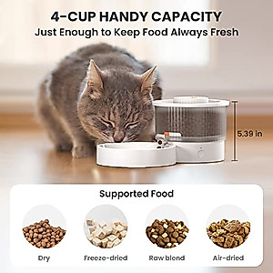 DOG CARE Automatic Cat Feeders, Cordless Automatic Slow Feeder Prevents Bloating for Small Dogs, 4-Cup Capacity Timed Cat Feeder with Meal Times and Portion Control, APP Control Pet Dry Food Dispenser