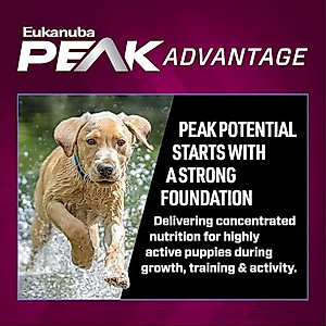 Eukanuba Premium Performance Puppy Pro Dry Dog Food, 4 lb Bag
