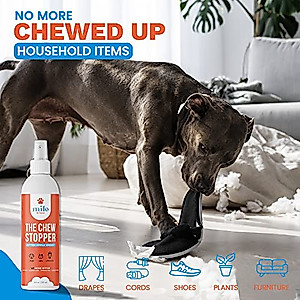 Milo by Bone Bitter Apple Spray for Dogs to Stop Chewing | Non-Toxic, Safe & Alcohol-Free | No Chew Spray for Dogs | Extreme Bitter Formula | Indoor & Outdoor Use