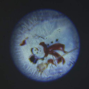 ViaGasaFamido LED Electronic Candle LightNovelty Lighting Flameless Candles Flameless Projector Candle LightCandle Rotating Night Light for Living Room Garden Home Table Decoration