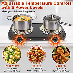 Countertop Burner, Electric Double Burners 2000 Watts, Hot Plate Cooktop with 5 Temperature Control, Non Slip Rubber Feet, Portable Coil Heating Stove Countertop RV Hotplate for Home or Dorm(Black 2)
