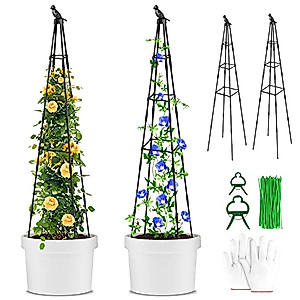MYard 2 Pack Garden Obelisk Trellis for Climbing Plants Outdoor, 6.5FT Tall Rustproof Metal Plant Support Trellis, Garden Tower Trellis for Potted Plants Flowers Vines Vegetable Indoor Outdoor