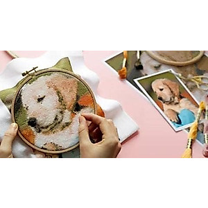 HOMFIN Custom Cross Stitch Stitch Your Photo Create Your Own Unique Custom Cross Stitch for Baby Pets or Family (11.81" X 15.75"/30cm X 40cm)