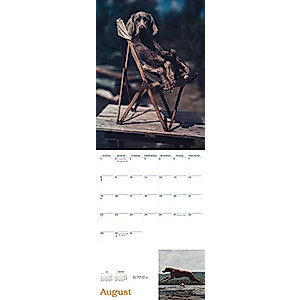 William Wegman Man's Best Friend 2021 Wall Calendar