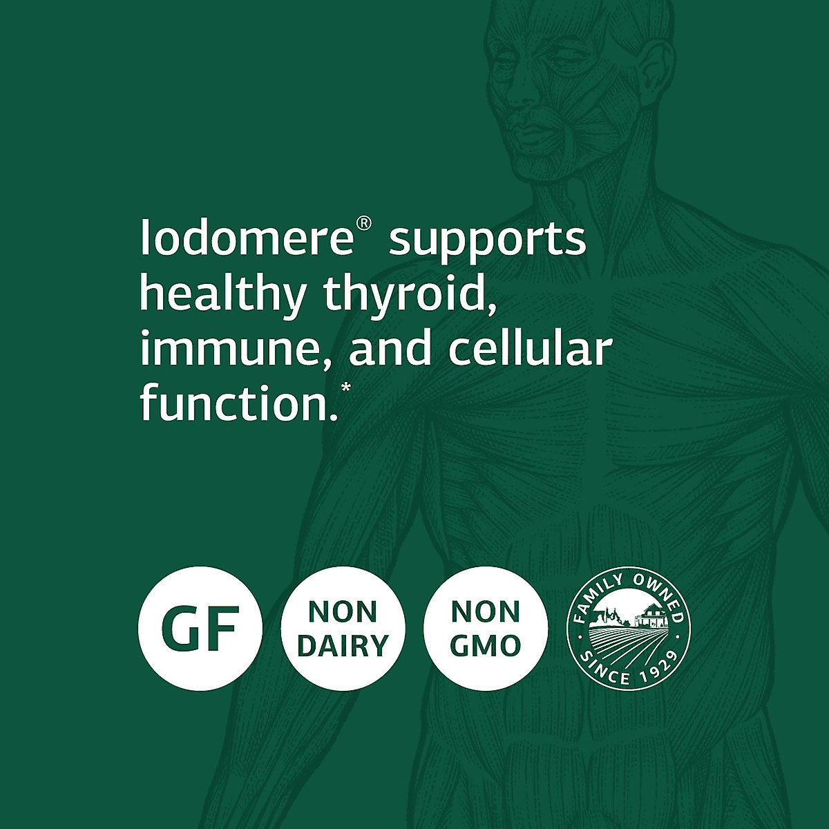 Standard Process Inc. Iodomere - Whole Food Metabolism and Thyroid Support with Echinacea Purpurea, Green Lipped Mussel, Organic Carrot, Organic Sweet Potato, and Iodine - 90 Tablets