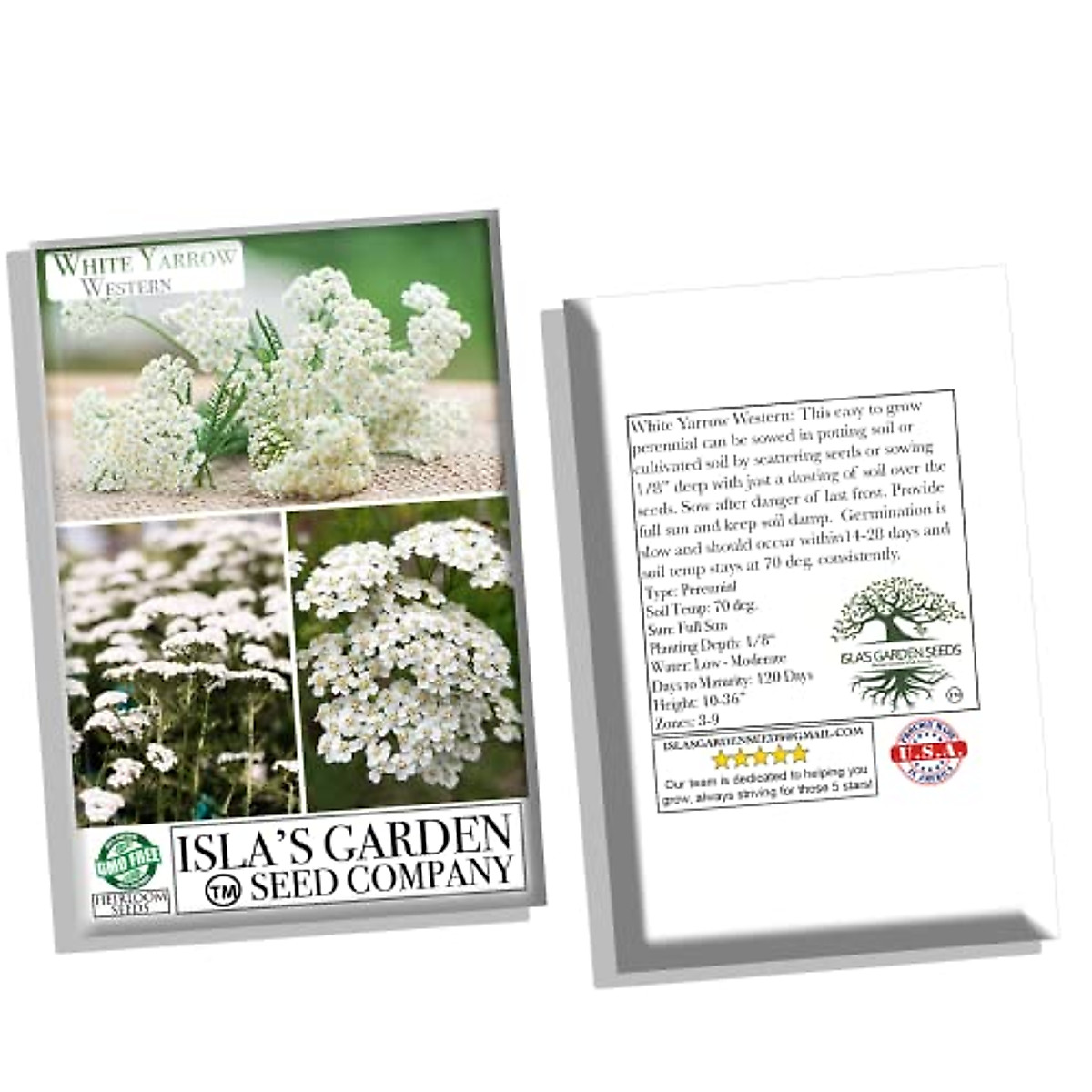 White Yarrow Western Flower Seeds for Planting, 1500+ Seeds Per Packet, (Isla's Garden Seeds), Non GMO & Heirloom Seeds, Botanical Name: Achillea millefolium, Great Home Garden Gift