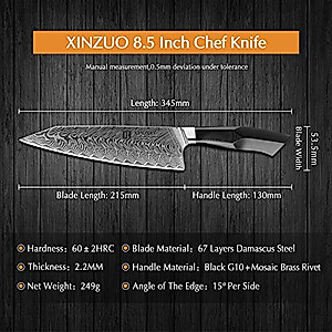 XINZUO Damascus Steel Chef Knife, 8.5 inch Kiritsuke Kitchen Knife Professional Forged Gyuto Cooking Knife, Military Grade G10 Handle with Magnetic Sheath -Feng Series