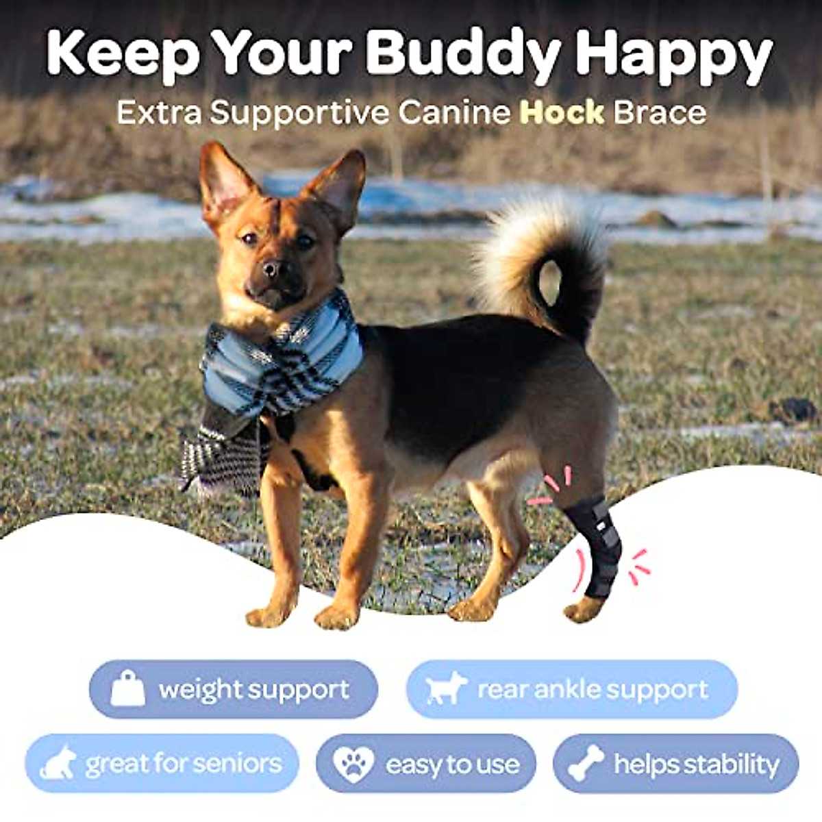 Labra Dog Extra Supportive Canine Rear (Hind) Leg Hock Joint Compression Wrap for Recovery, Protection, and Sprain and Injury Prevention, Ankle Brace with Knee Support for Dogs - Large