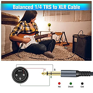 Twozoh XLR Male to 1/4 TRS Stereo Audio Cable 30FT, Braided Jack 6.35mm to XLR Male 3Pin Guitar Cable (Professional/HiFi)