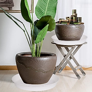 Bleusea 3 Pack of Deep Plant Saucer 18 19 inch, Large Heavy Duty Plastic Plant Saucers 18" Round, Plant Drip Trays for for Indoors Outdoor, Pot Tray for Planter 17-20" (Creamy White)