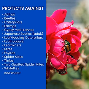 BioAdvanced 3-in-1 Insect Disease and Mite Control I, Ready-to-Spray, 32 oz