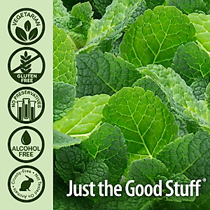 Nature's Answer Periobrite Cool Mint All-Natural Mouthwash | Promotes Healthy Teeth & Gums | Fights Bad Breath | Flouride-Free, Alcohol-Free & Gluten-Free | No Articial Preservatives 16oz (2 Pack)