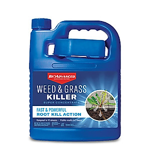 BioAdvanced Weed & Grass Killer, 64-Ounce, Super Concentrate