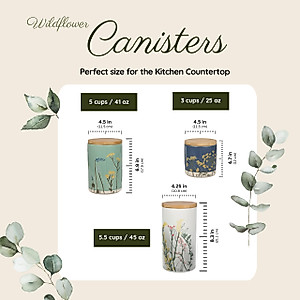 Cookspire 3-pc Porcelain Canister Set - Kitchen Storage Containers for Coffee, Sugar, Spice and Dry Food, Airtight containers, Versatile Sizes - White 8.3", Green 6.9", Blue 4.7"; Ideal Gift Set