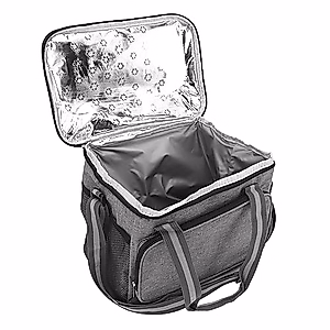 12L Insulated Portable Leakproof Thermal Bag for Camping Travel Picnic Grey