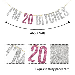 Glitter I'm 20 Bitches Banner Happy 20th Birthday Banner 20th Anniversary Girl's 20th Birthday Party Decorations Silver & Pink