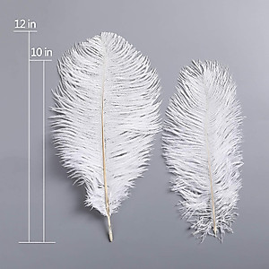 AWAYTR 10-12 inch (25-30cm) Natural Ostrich Feathers for Wedding Centerpieces Home Decoration,Flower Arrangement,DIY Christmas Decorations (10pcs,White)