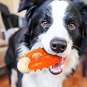 YUKOOY Puppy Toys for Teething Small Dogs, Puppy Chew Squeaky Toys, Soft & Durable Dog Chew Toys Cleaning Teeth and Protects Oral Health (4 PCAK CHEW Toys)