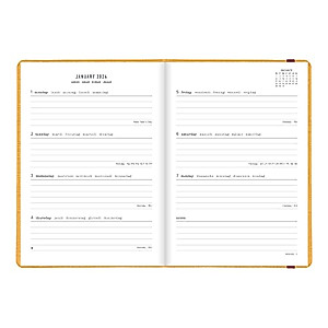 Letts of London Raw Weekly/Monthly Planner, 12 Months, January to December, 2024, Sewn Binding, A5 Size, 8.25" x 5.875", Multilingual, Mustard (C082309-24)