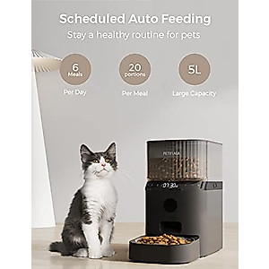 PETVIAGA Automatic Cat Feeders with Timer, 5L Timed Dog Food Dispenser with Desiccant Bag & Stainless Steel Bowl, Auto Pet Feeder for Dry Food with 6 Feeding Meals, 20 Portions Control & 10s Recording
