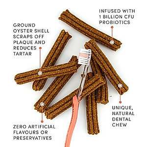 Crumps' Naturals Plaque Busters Advanced - Whole Mouth Care Dental Sticks 9.5oz