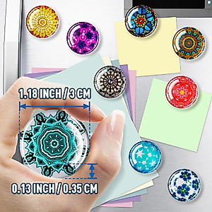 FINDMAG 12 Pcs Glass Fridge Magnets, Cute Fridge Magnet Sticker, Strong Refrigerator Magnets Heavy Duty, Small Magnets for Whiteboard, Classroom, Kitchen, Office, Home and Cabinet