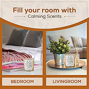 Blessed is She, Light of Mercy Candle, Lavender and Cedarwood Essential Oils, Candle in Glass, 74 - 80 Hours Long Burning Candle