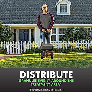 Spectracide Triazicide Insect Killer For Lawns Granules, Kills All Listed Lawn-Damaging Insects, 20 lb bag