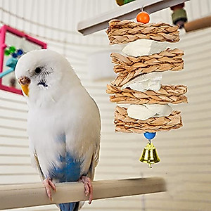 Bird Chewing Toys - Wicker Ball Natural Cuttlebone Woven Grass Bird Beak Grinding Chew Shredder Toy with Bell, Texsens Bird Backpack Cage Hanging Toy for Parrot Parakeet Cockatiel Conure African Grey