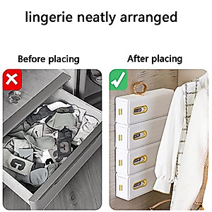 ACGrade Underwear Organizer,Wardrobe Wall Mounted Sock and Underwear Organizer,Closet Organizers,Underwear Organizer for Women(4pcs),38*8*12cm