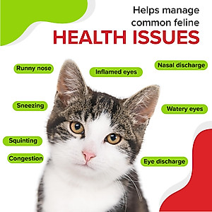 Trulysine Viralysine L-Lysine Gel Supplement for Cats, 5oz - Cats & Kittens of All Ages - Immune Health - Sneezing, Runny Nose, Squinting, Watery Eyes - Palatable Maple Flavor