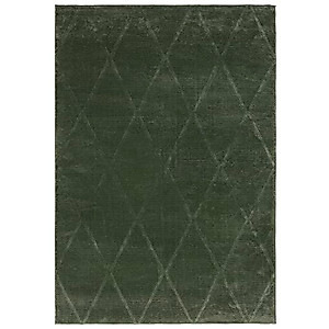 SAFAVIEH Revive Collection Accent Rug - 2'7" x 5', Green, Trellis Design, Non-Shedding & Easy Care, Ideal for High Traffic Areas in Entryway, Living Room, Bedroom (REV104Y)