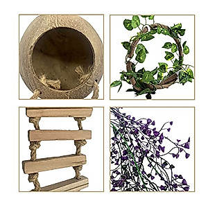 MUYG Lizard Coco Den with Ladder,Crested Gecko Coconut Husk Hut Reptile Shell Hideout Home Climbing Plants Tank Decor Terrarium Plastic Plant Leaves for Bearded Dragon Chameleon Snakes