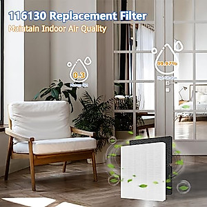 116130 Filter H Replacement for Winix 5500-2 and AM80 Air Puri-fier, Two Year Combo Include 2 Pack H13 True HEPA Filter and 2 Pack Activated Carbon Odor Filter