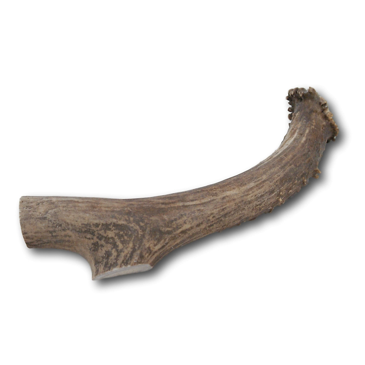 Top Dog Chews Premium Large Grade A Whitetail Deer Antler for Dogs - Single Antler