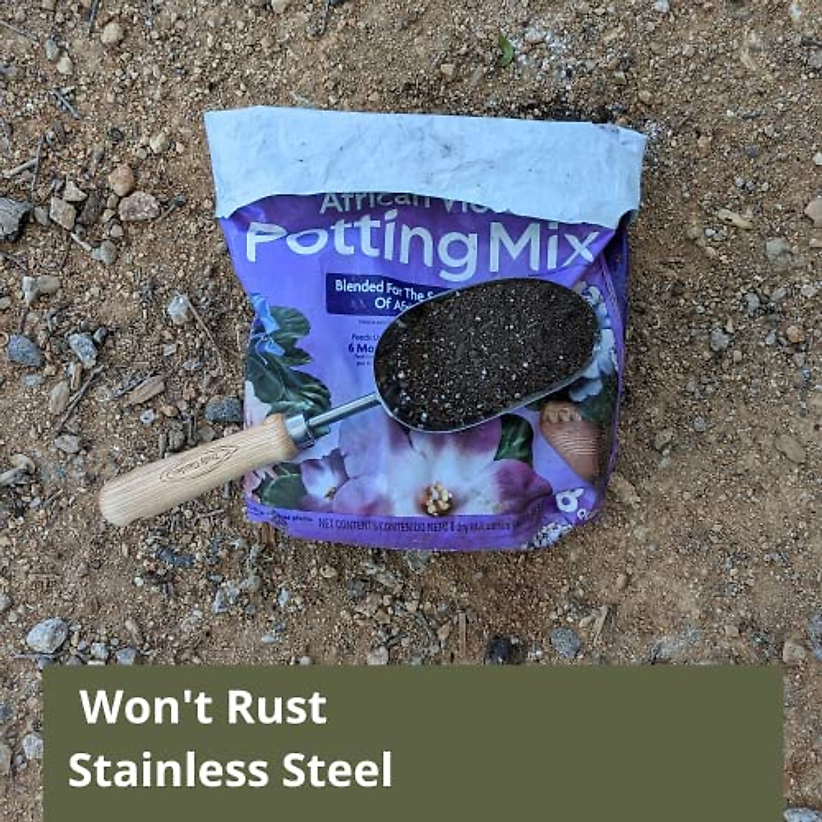 Giant 13.5” Stainless Steel Scoop with Long, Beautiful Wooden Handle. Perfect for Fertilizer and Compost in the Garden or use with Ice, Dry Goods, Pet Food or Feed. – By Truly Garden