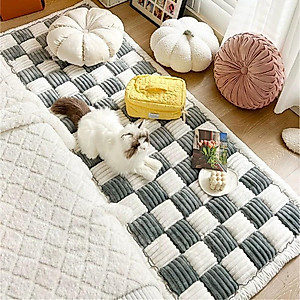 ASELIA Funny Fuzzy Cream-Coloured Large Plaid Square Pet Mat Bed Couch Cover,Couch Cover for Floor Pet Garden Chic,2023 New Magic Sofa Cover,Cat&Dog Couch Cover Protector (27.56×59inch, D)