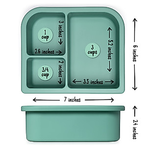 PrimaStella Unbreakable Silicone Lunch Box for Kids and Adults - Leak Proof Divided Bento Box (Green)