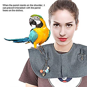 Parrots Diaper Shawl, Stand Shoulder Cape, 19.3x12.2in Anti-Scratch Shoulder Protector, for Pet Shop Employees Bird & Parrot Lovers