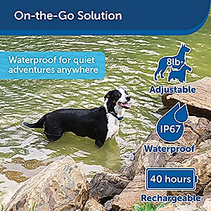 PetSafe Rechargeable Bark Collar, 15 Levels of Automatically Adjusting Static Correction - Rechargeable, Waterproof - Reduces Barking and Whining - for Small, Medium, and Large Dogs over 8 lb
